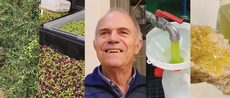 Interview Olio sardo | Sardinienforum.de - Das Forum für Reisen & Leben ...